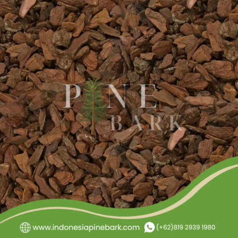 Pine Bark Size: 20-30 mm